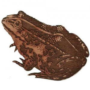 Striped Common Toad MDF Wood Shape